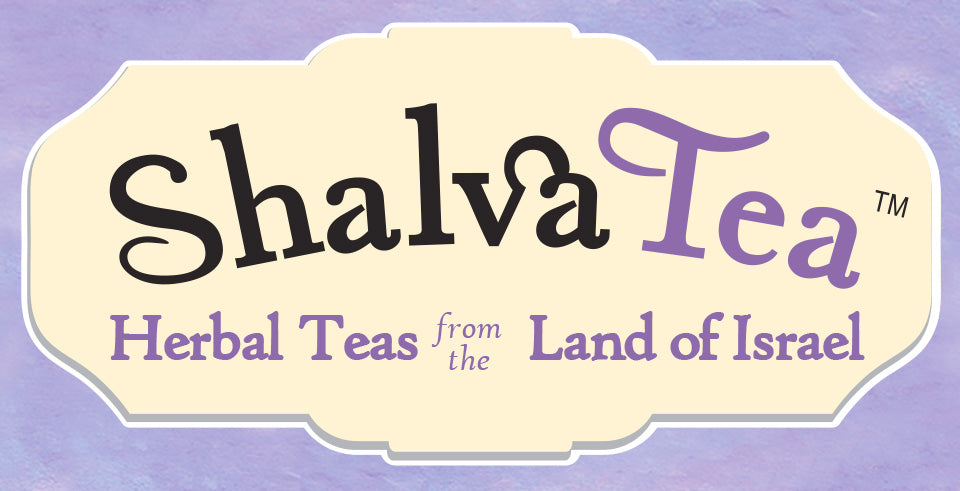 Shopify_Logo_1200x1200.jpg?v=1613686132